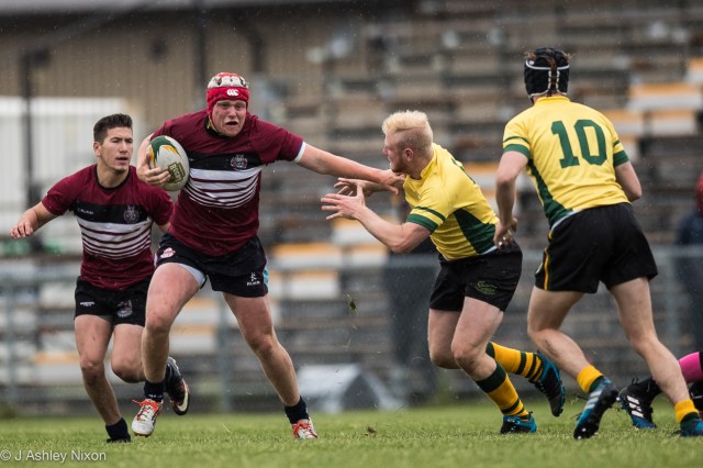 Edmonton Gold shine in the rain – NixonScan